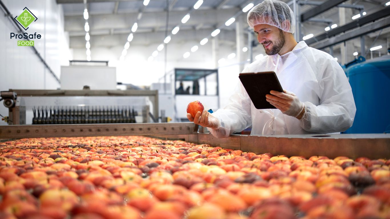 מערכת HACCP לניהול בטיחות מזון במפעלים וחברות מזון | Prosafe Food